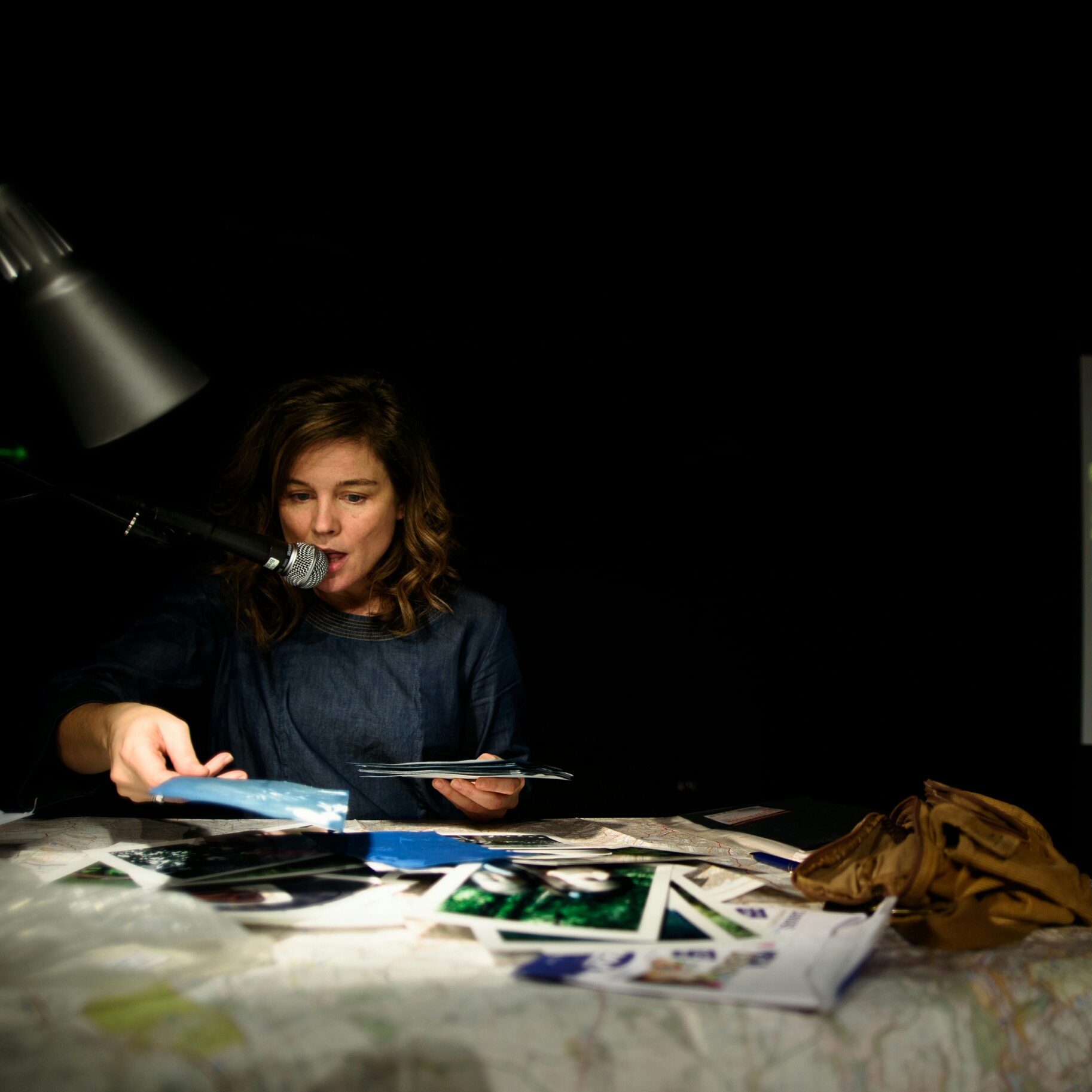 Lizzie Philps - Procreate Project