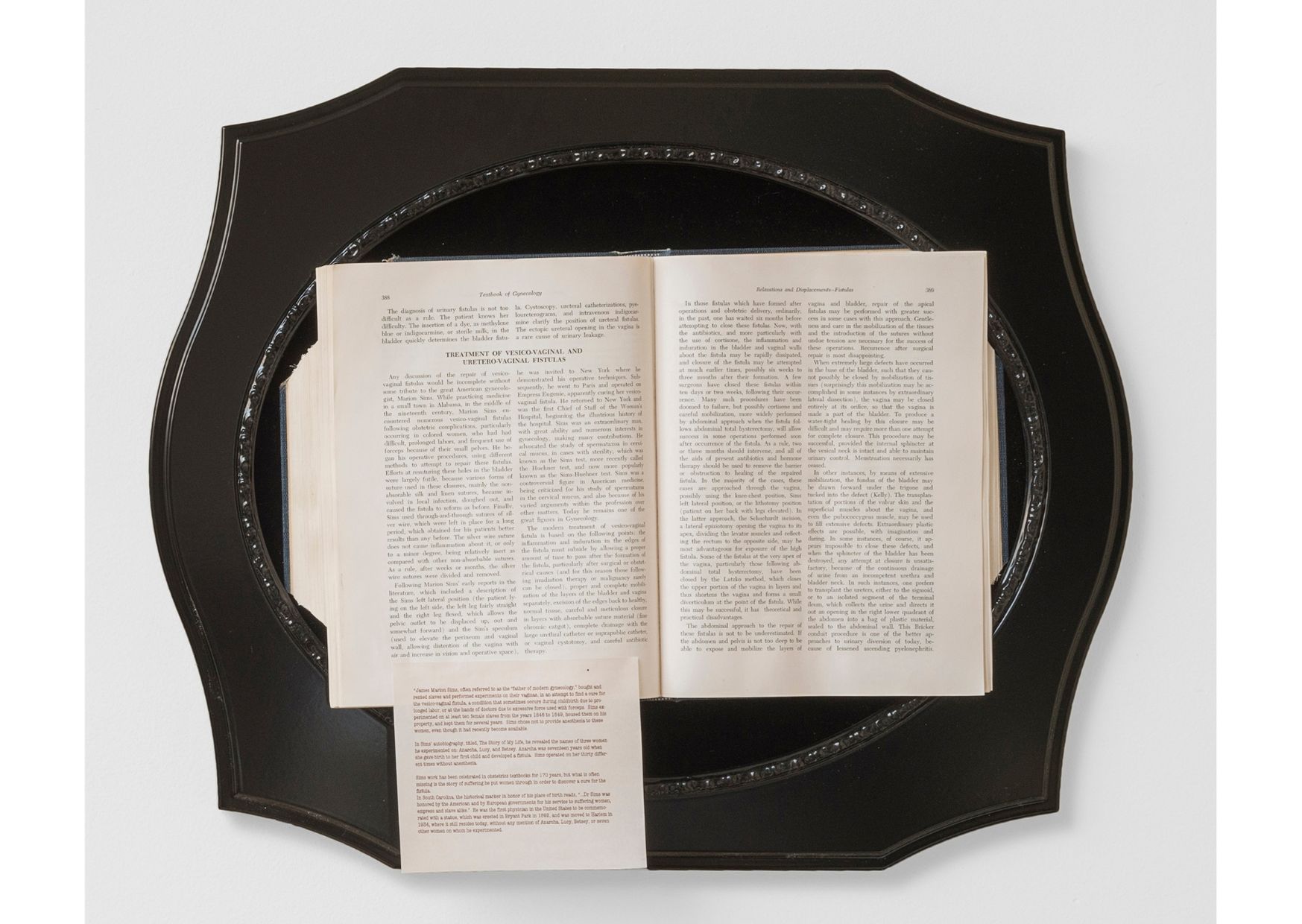 Michelle Hartney - Procreate Project